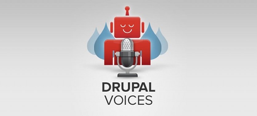 Stella talks about Coder on Drupal Voices | Annertech